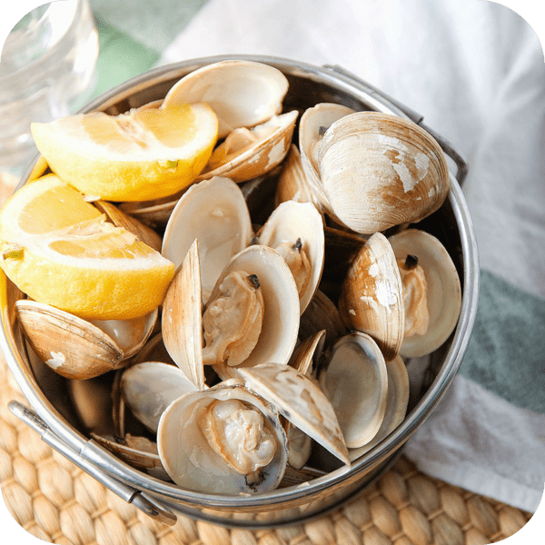 Little Neck Clams 50 cnt